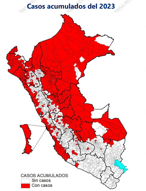 Dengue en Perú. Aumentan los casos y se declara estado de emergencia en ...